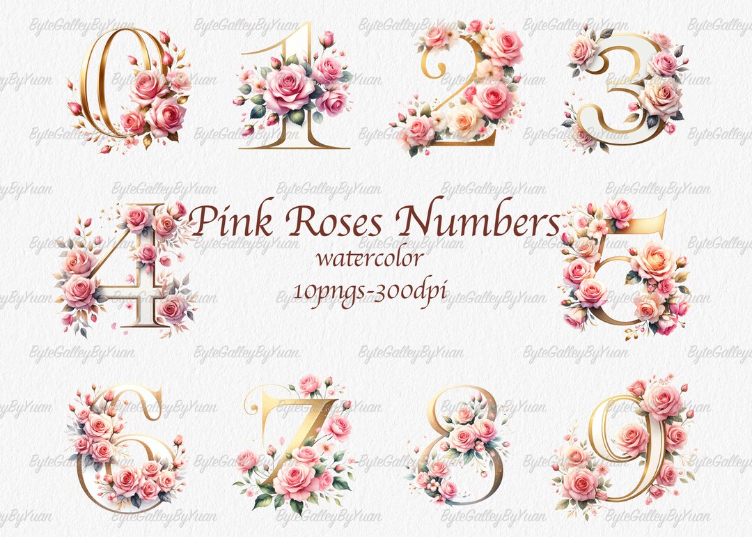 Watercolor Pink Roses Numbers Clipart: Floral PNG Graphics (digital ...