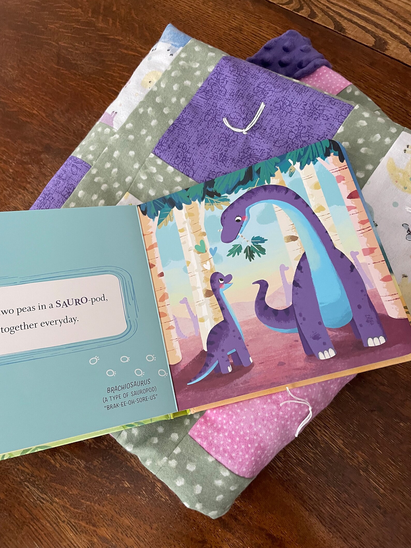 Babysaur Flannel Quilt With a Book, Backed in Purple Minky - Etsy
