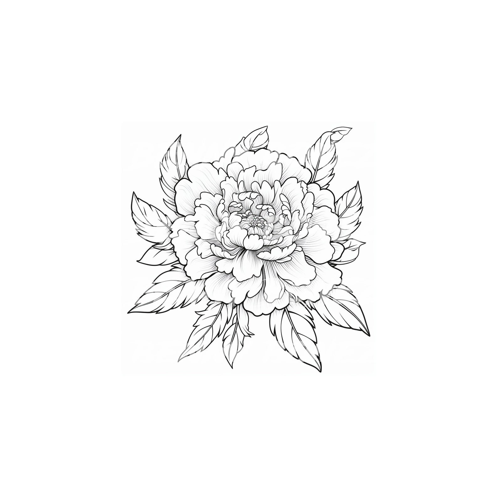 Peony Flower Tattoo Stencil - Etsy