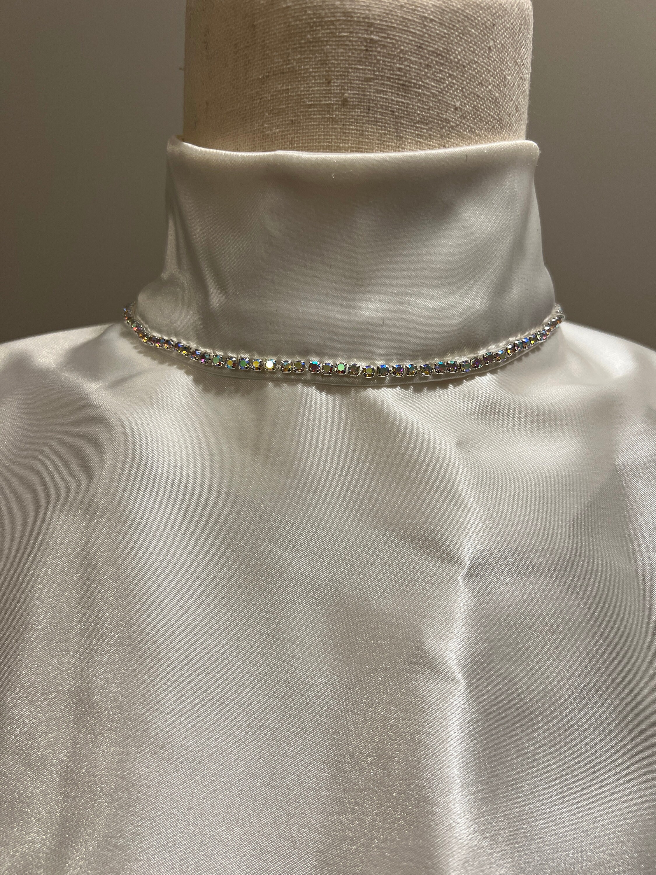 Hunt Dickie Ratcatcher English Western Equestrian Shirt Bling Sparkle ...