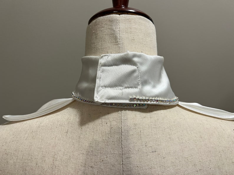 Hunt Dickie Ratcatcher English Western Equestrian Shirt Bling Sparkle ...