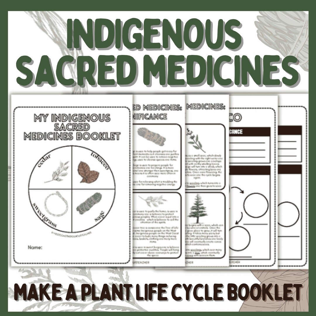 Sacred Medicines Lesson, Outdoor Education, Indigenous Education ...