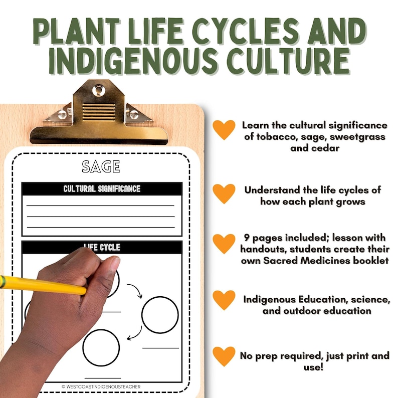 Sacred Medicines Lesson, Outdoor Education, Indigenous Education ...