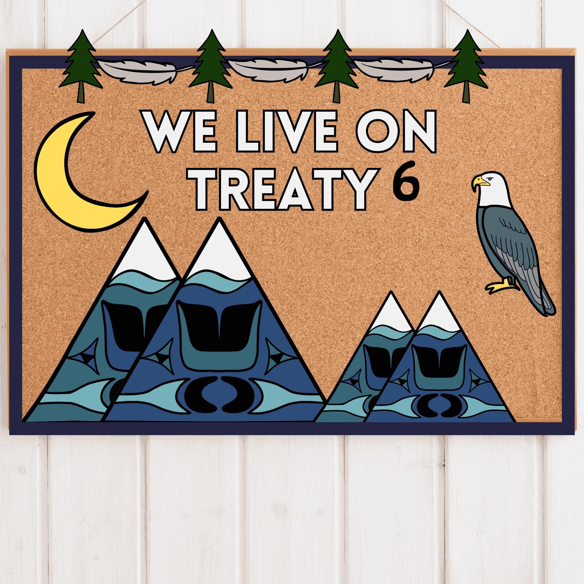 Land Acknowledgement Bulletin Board, Indigenous Education, Outdoor ...