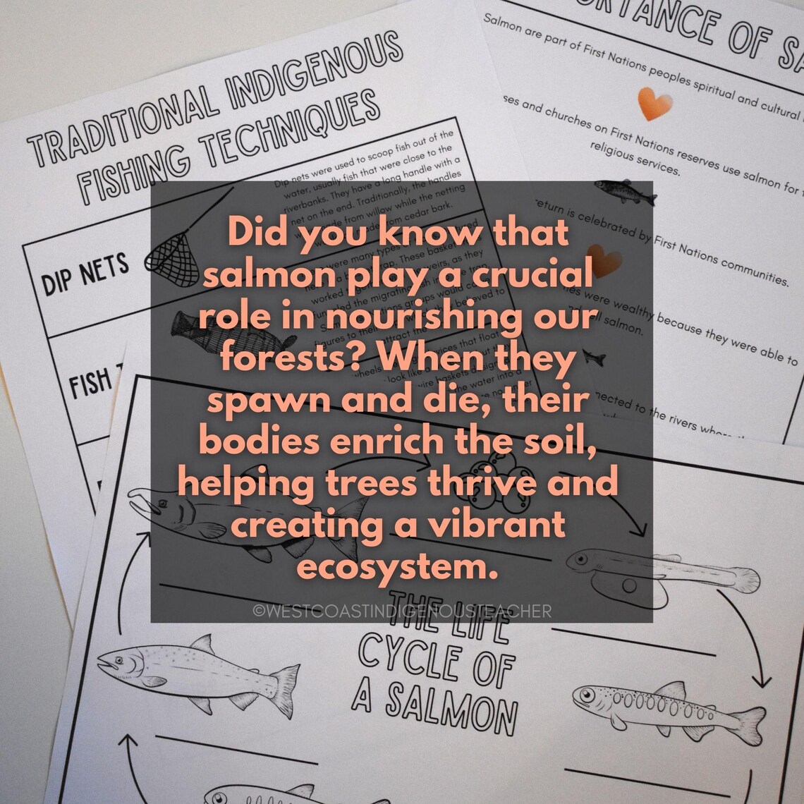 First Nations Salmon, Salmon Life Cycle, Indigenous Education, Teachers ...