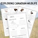 Canadian Wildlife, Habitat and Survival, Indigenous Education ...