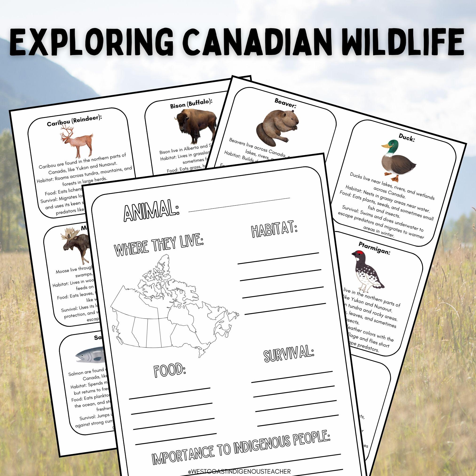 Canadian Wildlife, Habitat and Survival, Indigenous Education ...