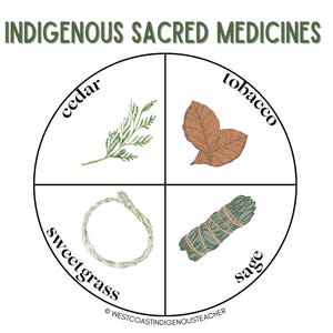 Sacred Medicines Lesson, Outdoor Education, Indigenous Education ...