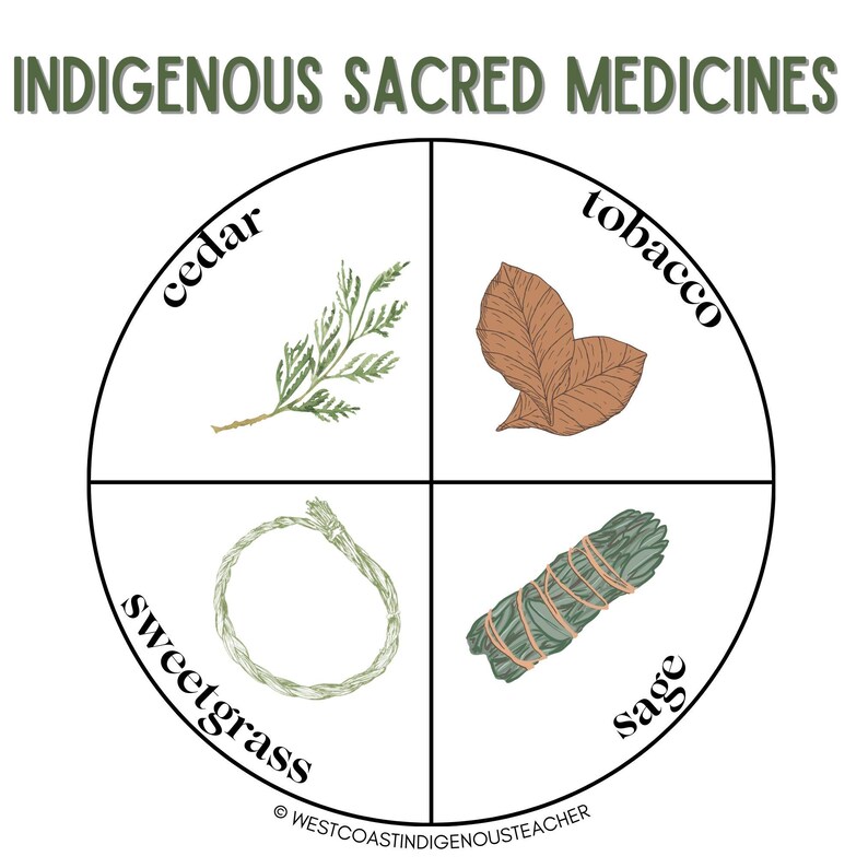 Sacred Medicines Lesson, Outdoor Education, Indigenous Education ...