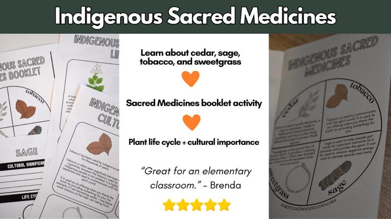 Sacred Medicines Lesson, Outdoor Education, Indigenous Education ...