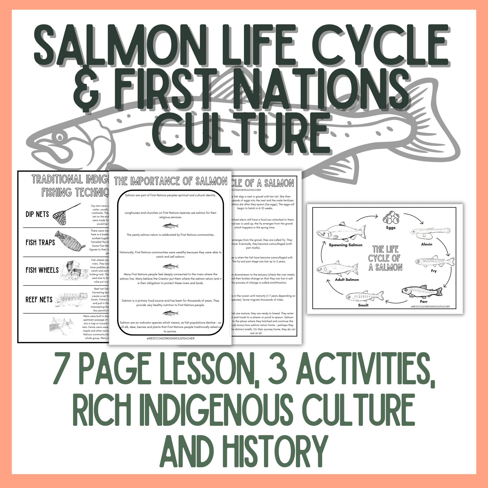 First Nations Salmon, Salmon Life Cycle, Indigenous Education, Teachers ...