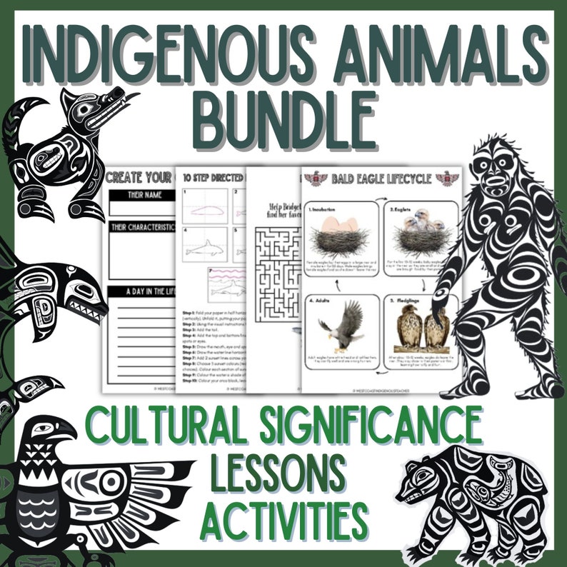 Indigenous Animal Lesson, Culture Activity, Indigenous Education ...