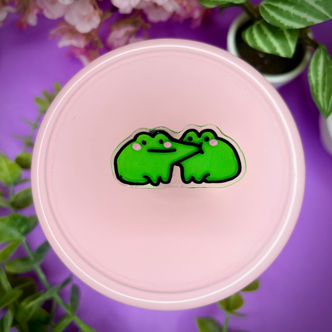 Kawaii Frog Chibi Resin Pin Cute Frog Monch Enamel Brooch Frog Lover Quirky Lapel Matching ...