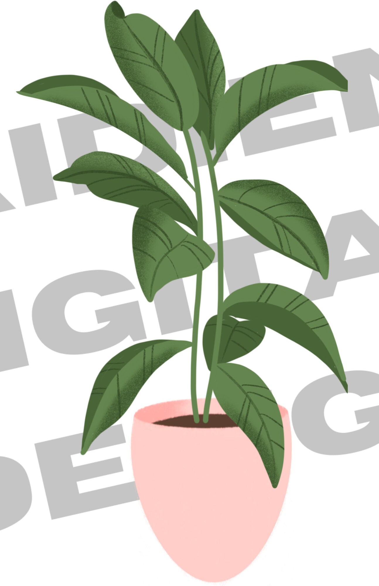 Editable Spanish Bulletin Board Kit, Door Decor Kit, Spanish Teacher ...