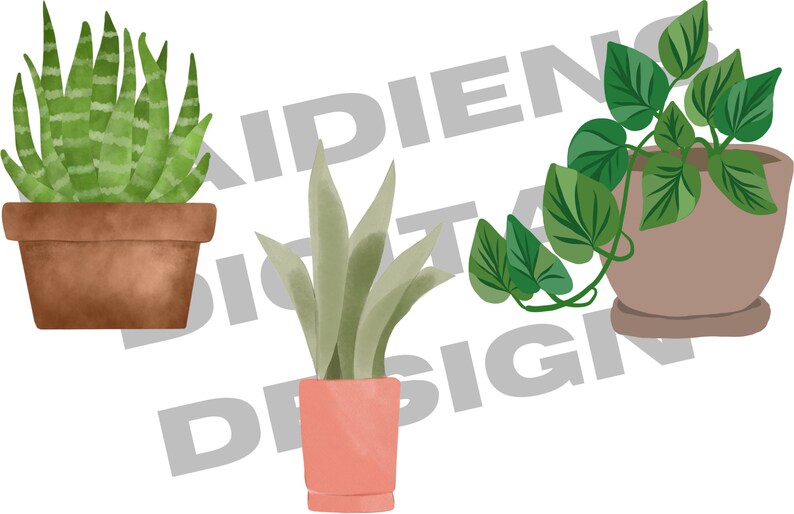 Boho Bulletin Board Kit Growing Bulletin Board Teachers - Etsy