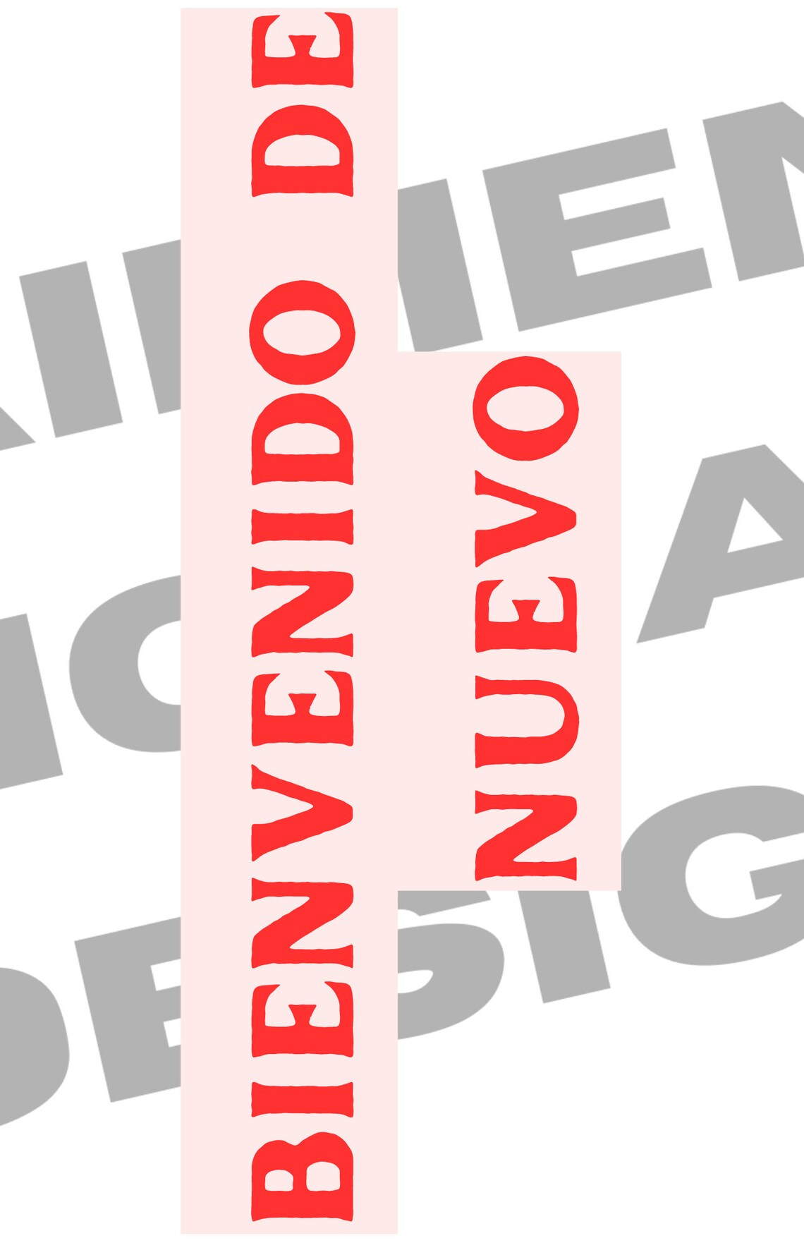 Editable Spanish Bulletin Board Kit, Door Decor Kit, Spanish Teacher ...