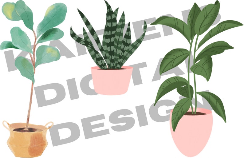 Boho Bulletin Board Kit Growing Bulletin Board Teachers - Etsy