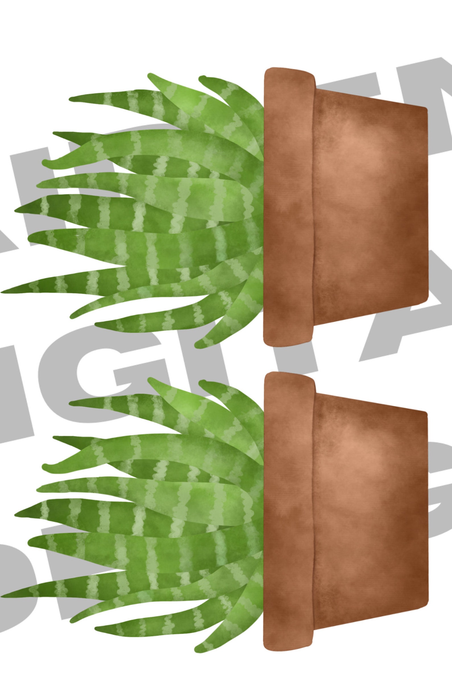 Editable Spanish Bulletin Board Kit, Door Decor Kit, Spanish Teacher ...