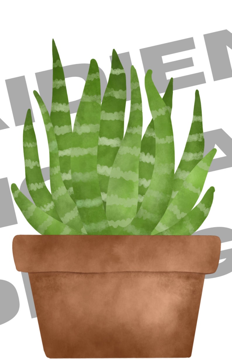 Editable Spanish Bulletin Board Kit, Door Decor Kit, Spanish Teacher ...