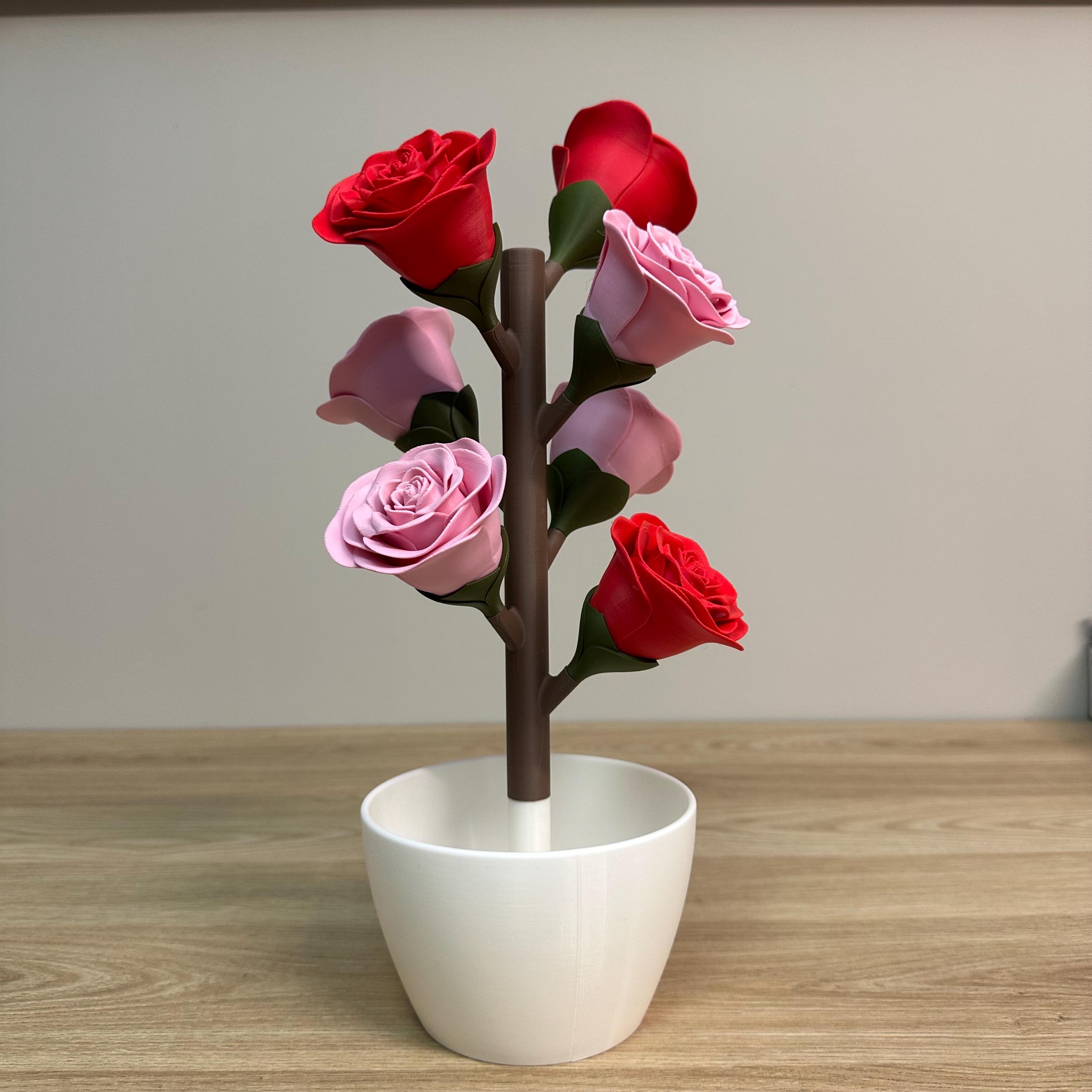 Rose Flower Pill Organizer – 3D Printed Weekly Medication Box With ...