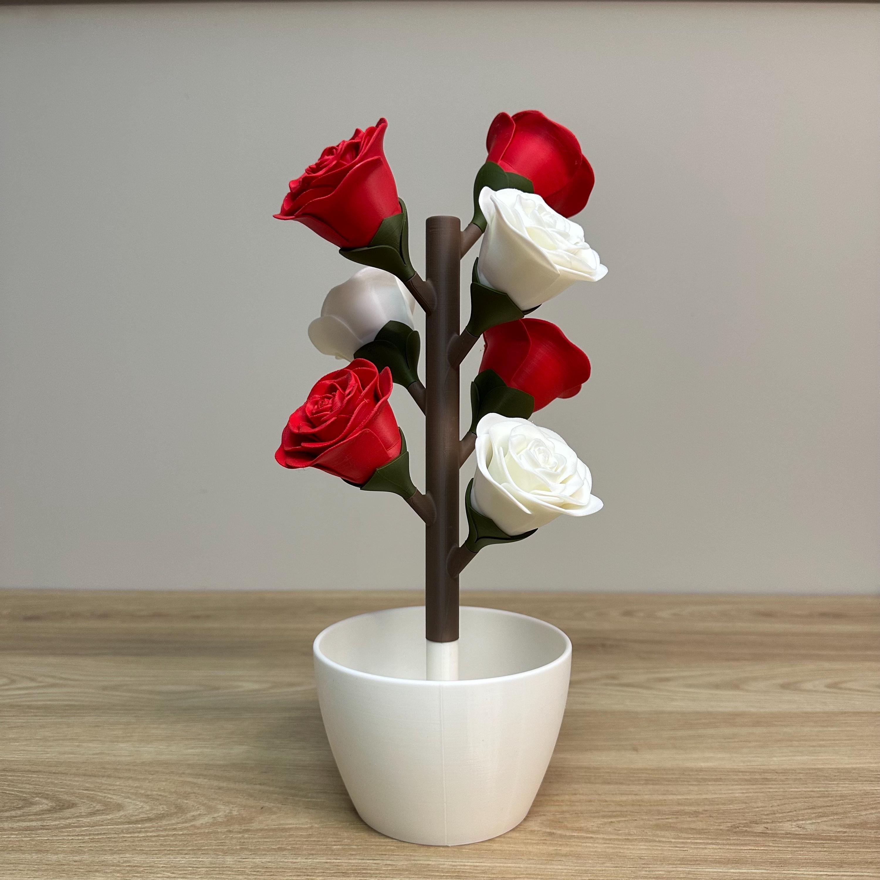 Rose Flower Pill Organizer – 3D Printed Weekly Medication Box With ...