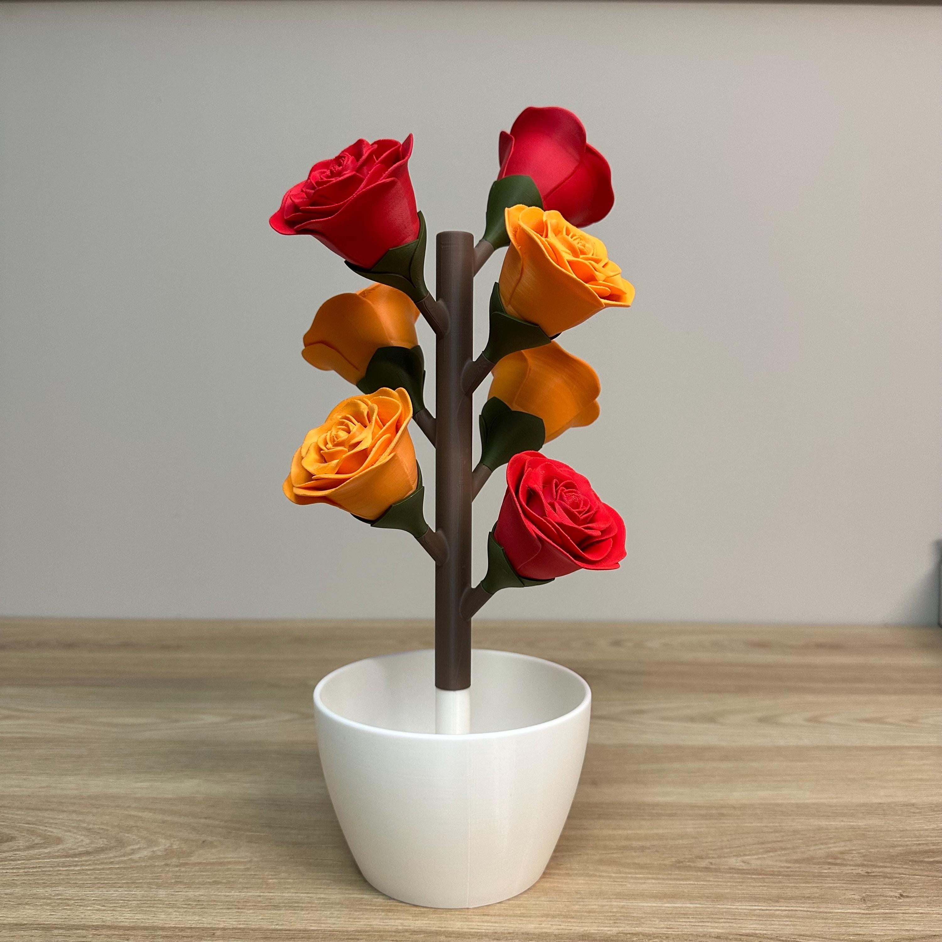 Rose Flower Pill Organizer – 3D Printed Weekly Medication Box With ...