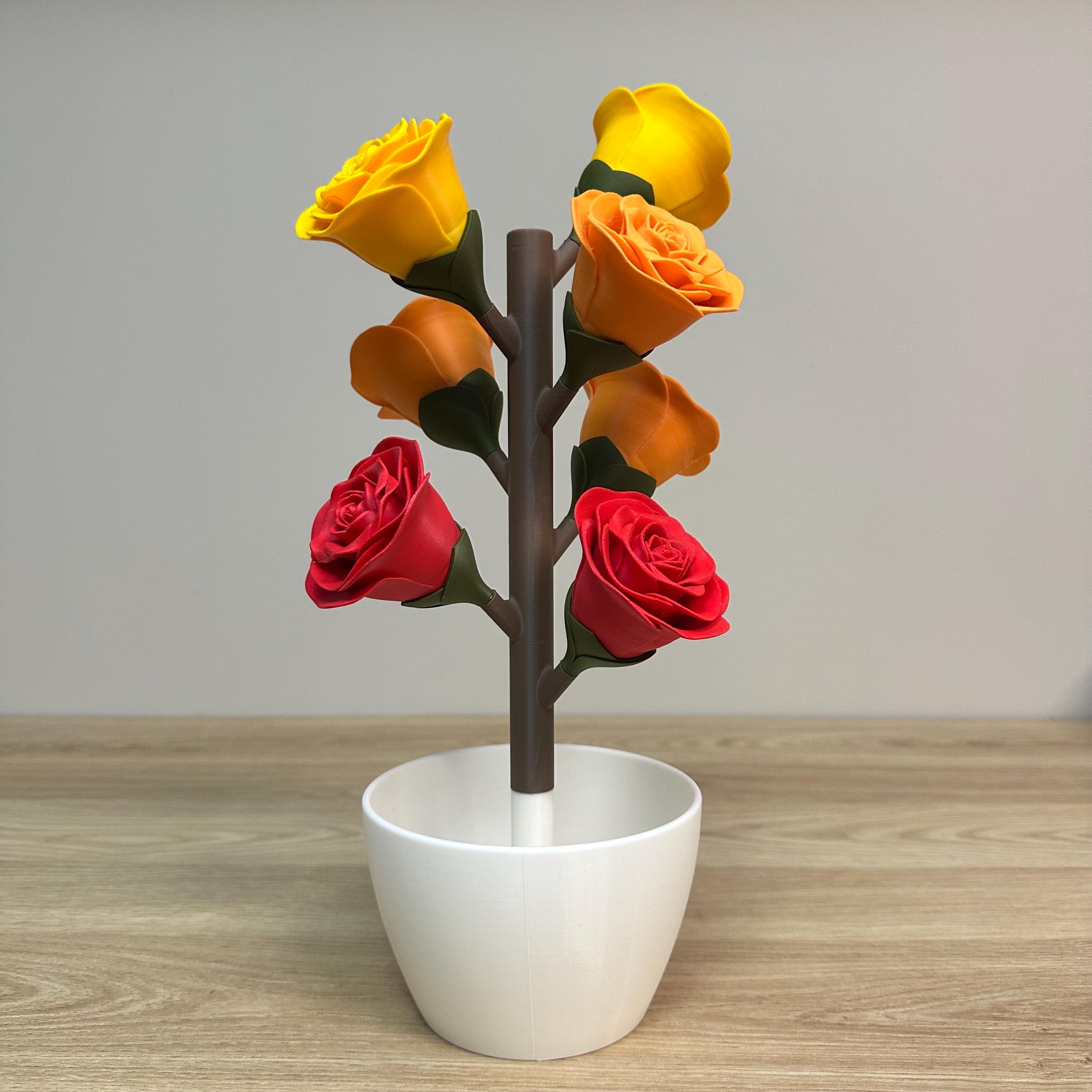 Rose Flower Pill Organizer – 3D Printed Weekly Medication Box With ...