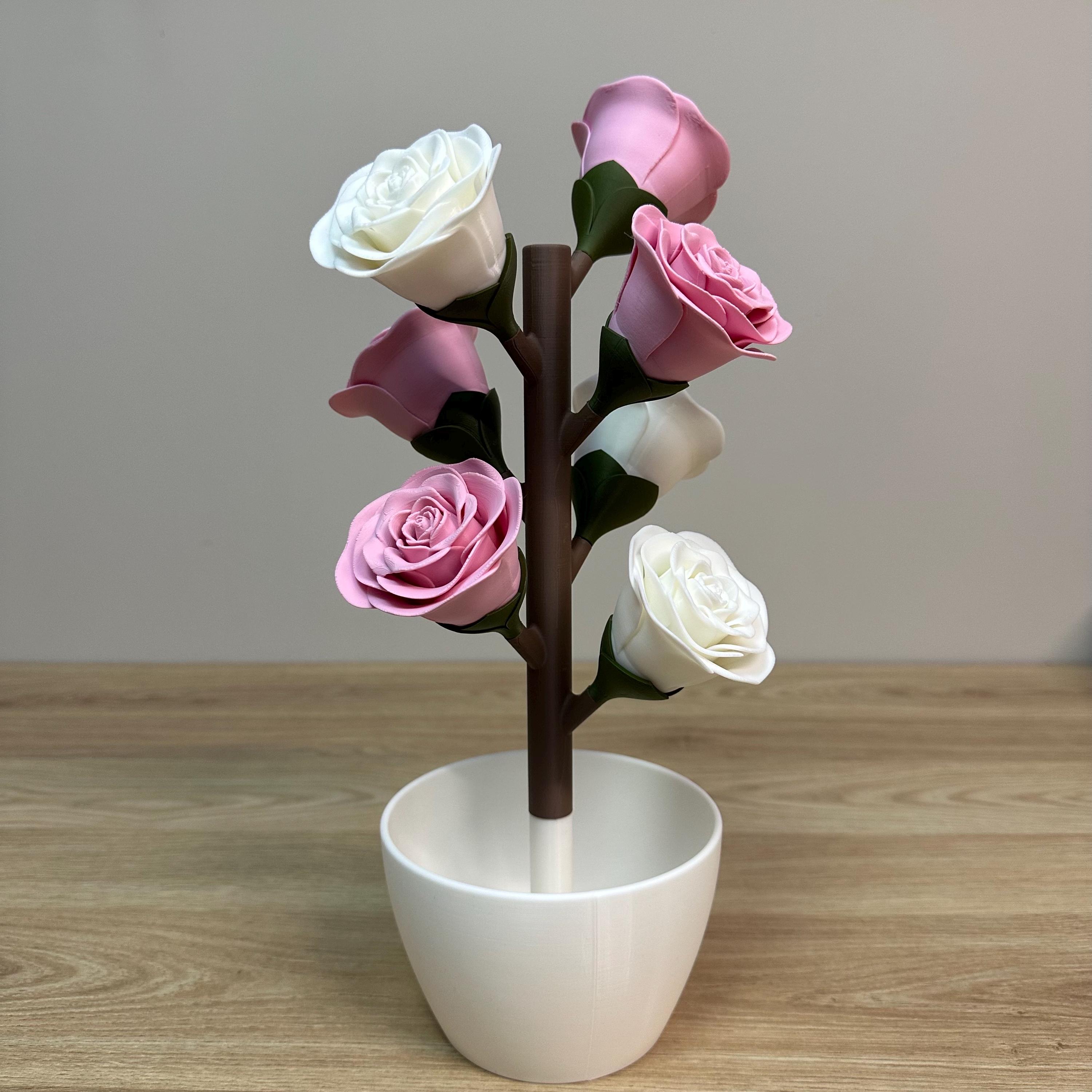 Rose Flower Pill Organizer – 3D Printed Weekly Medication Box With ...