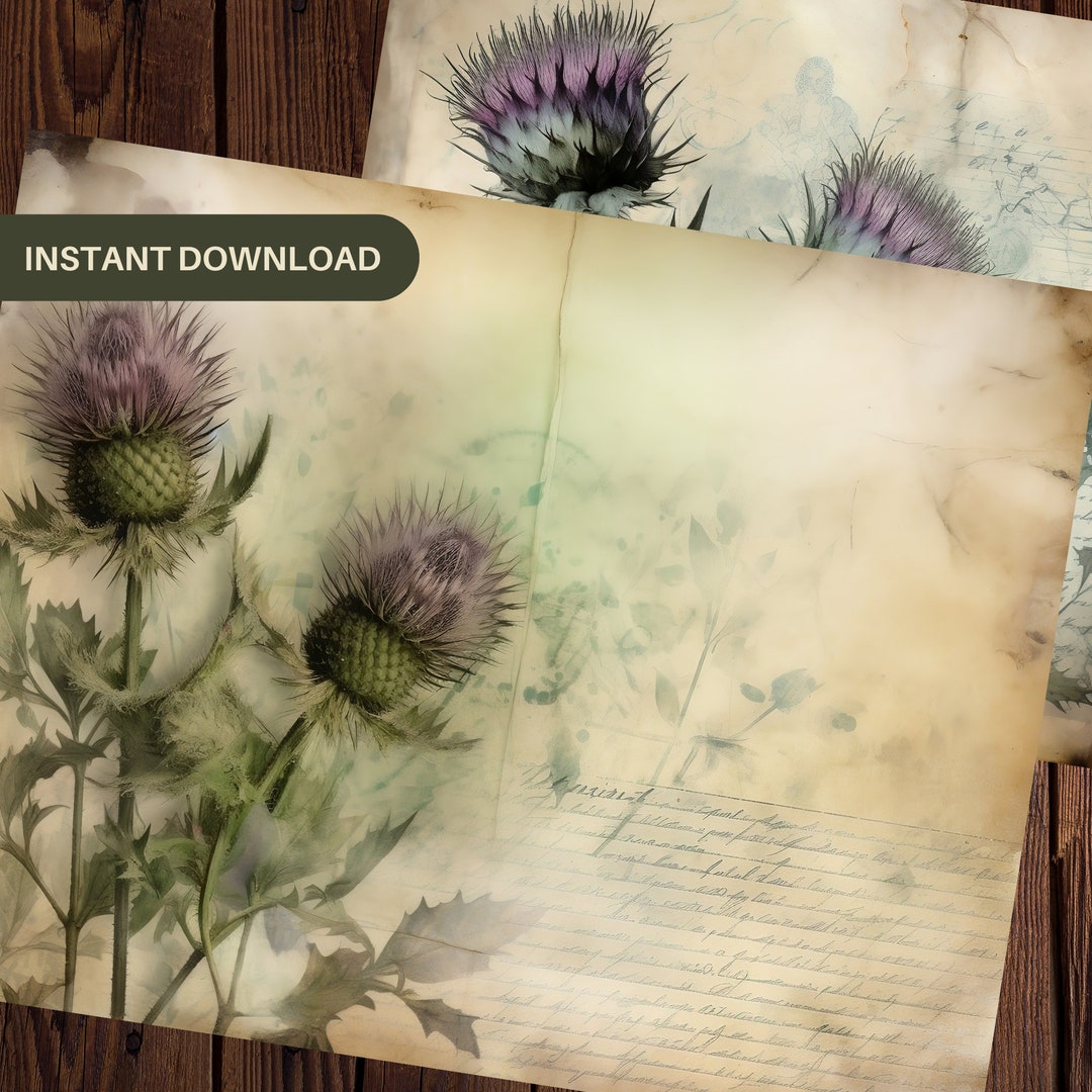 Thistle Journal Printable Paper With Vintage Scottish Thistle Digital ...