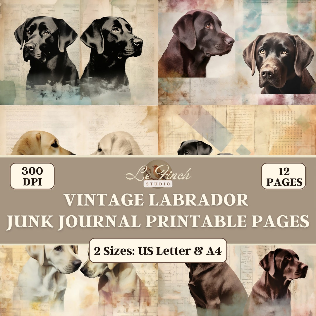 Labrador Printable Paper Featuring Vintage Chocolate Black and Yellow ...