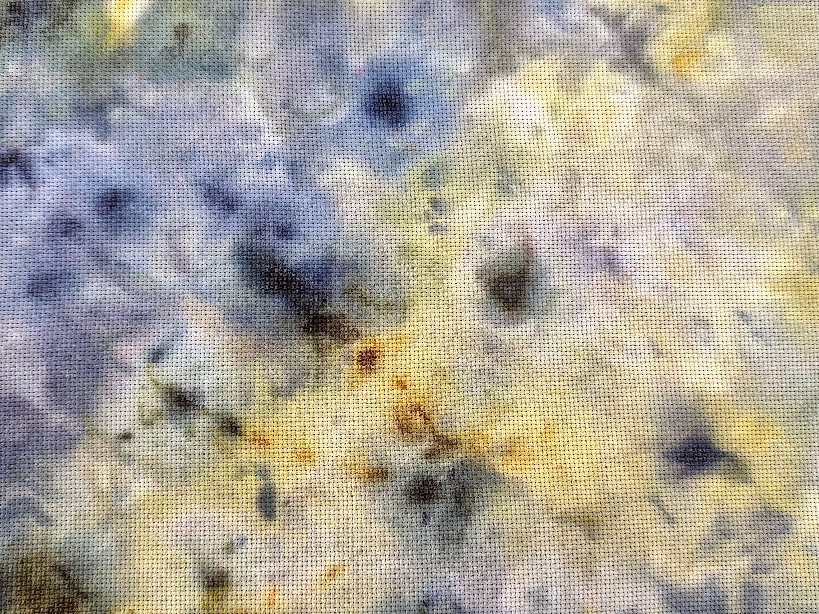 Shape Shifting Skinwalker Aida Cloth - Etsy