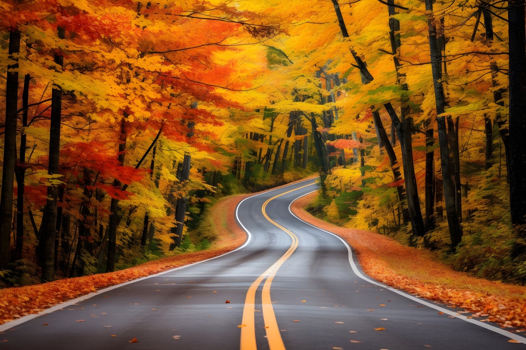 Autumn Road in Vermont - Vibrant Colors - Professional Photography ...