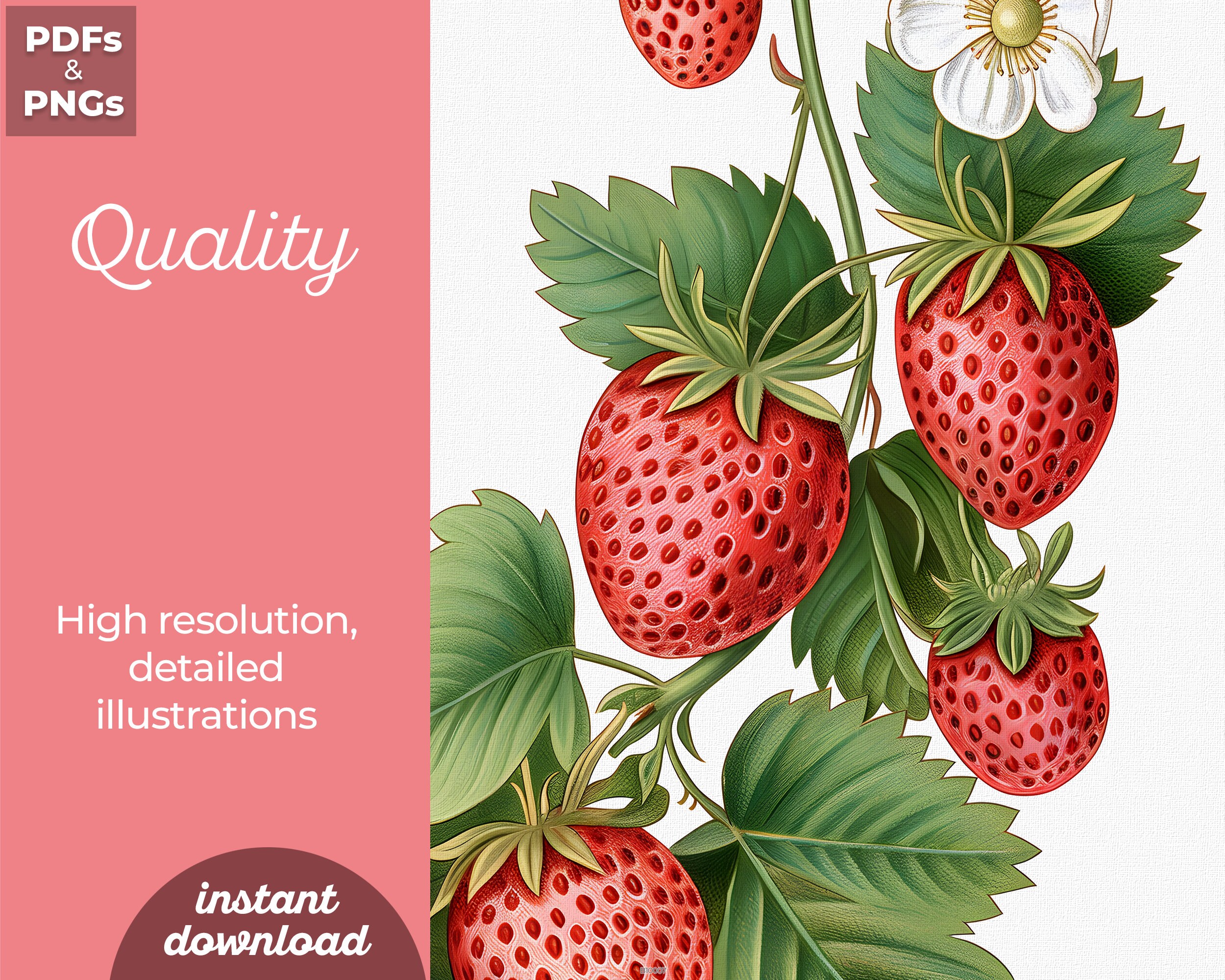12-month Habit Tracker Bundle | Print & Digital Planner Template ...