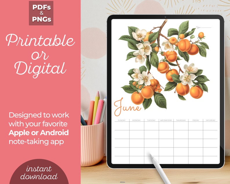 Bundle of 96 Undated Calendars | Monthly Printable Digital Planner ...
