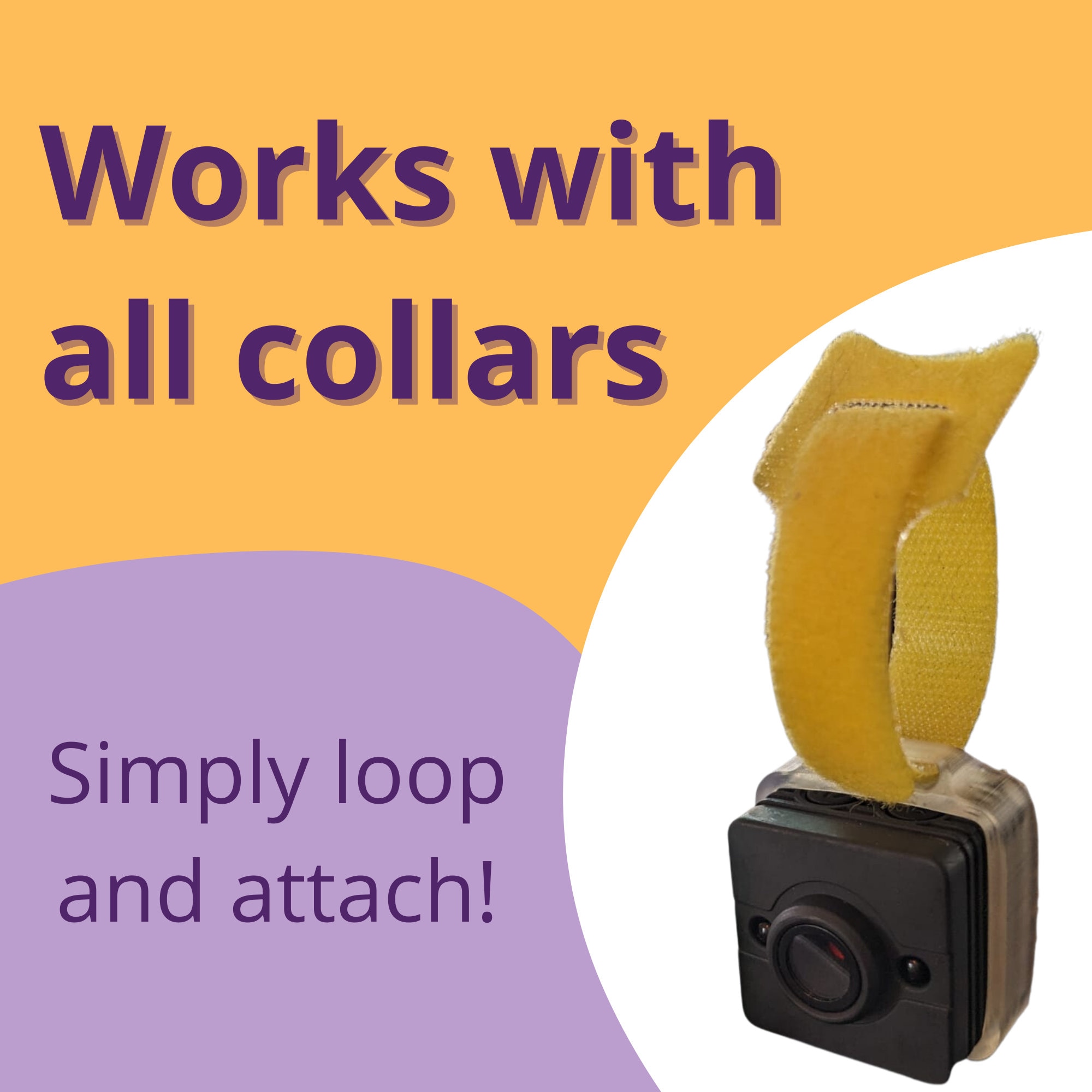 Collarcam: Camera for Cat Collars and Dog Collars Waterproof Pet Camera ...