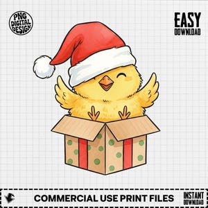 Christmas Chick PNG, Chick in a Box, Santa Hat Png, Christmas Png ...