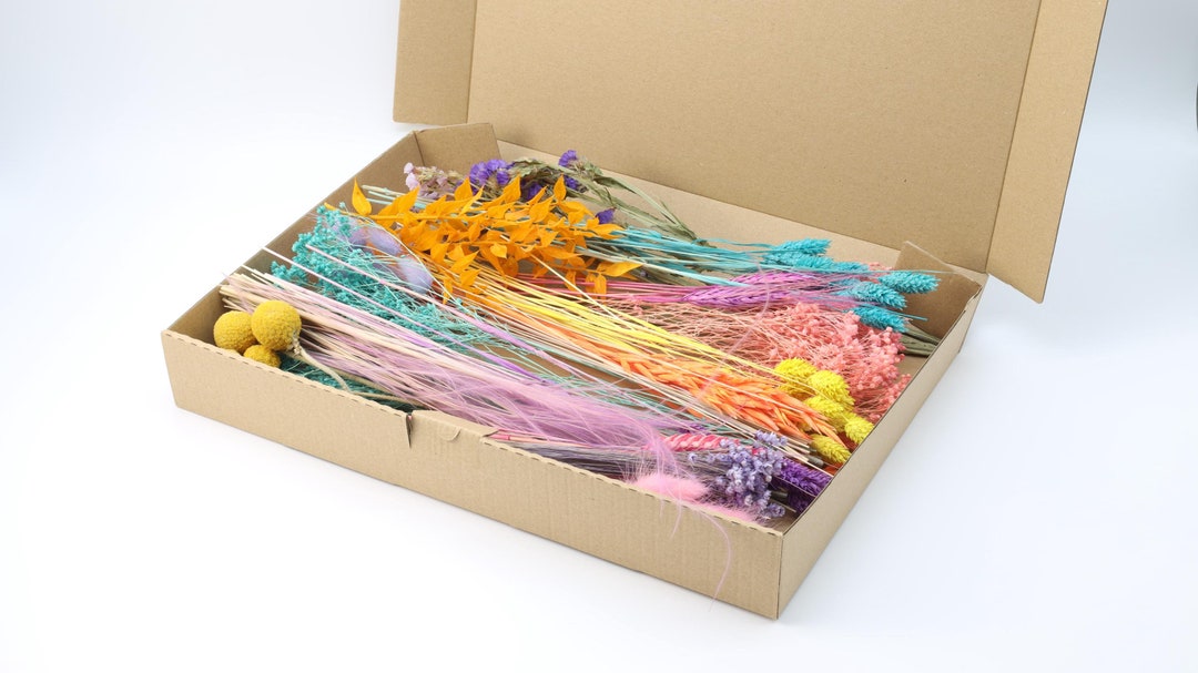 Pastel Color Dried Flowers Craft Box | Mix of Pink Purple Orange Yellow ...