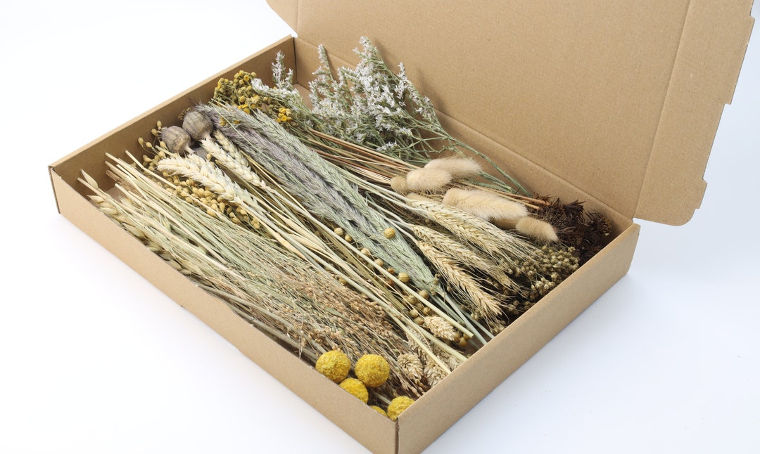 Natural Dried Flowers Craft Box DIY Dried Flower Kit Dried Grass ...