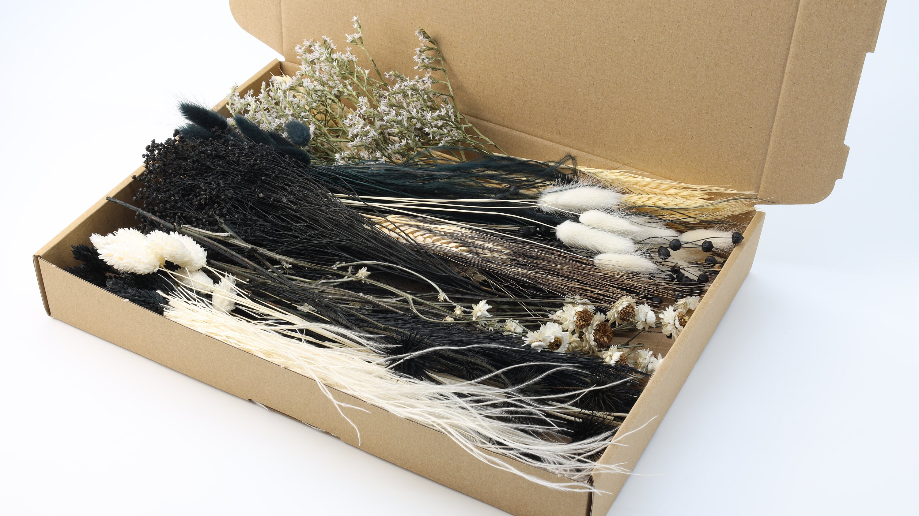 Black White Dried Flowers Craft Box DIY Dried Flower Kit Dried Flowers ...