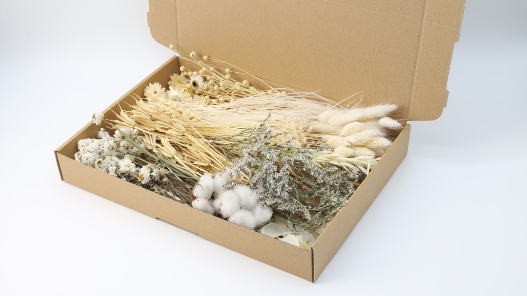 White Creamy Dried Flowers Craft Box | Dried Grass | Flowers for Crafts ...