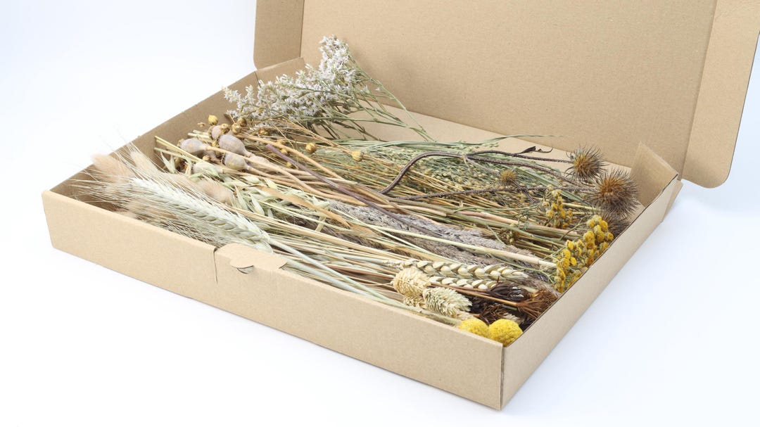 Natural Dried Flowers Craft Box | DIY Dried Flower Kit | Dried Grass ...