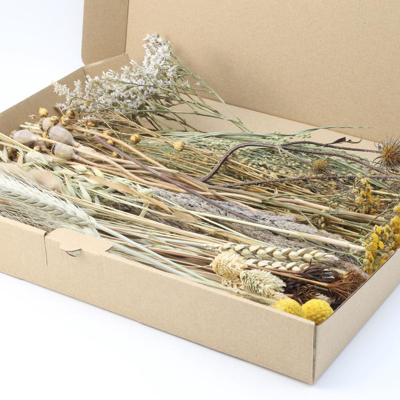 Natural Dried Flower - Etsy