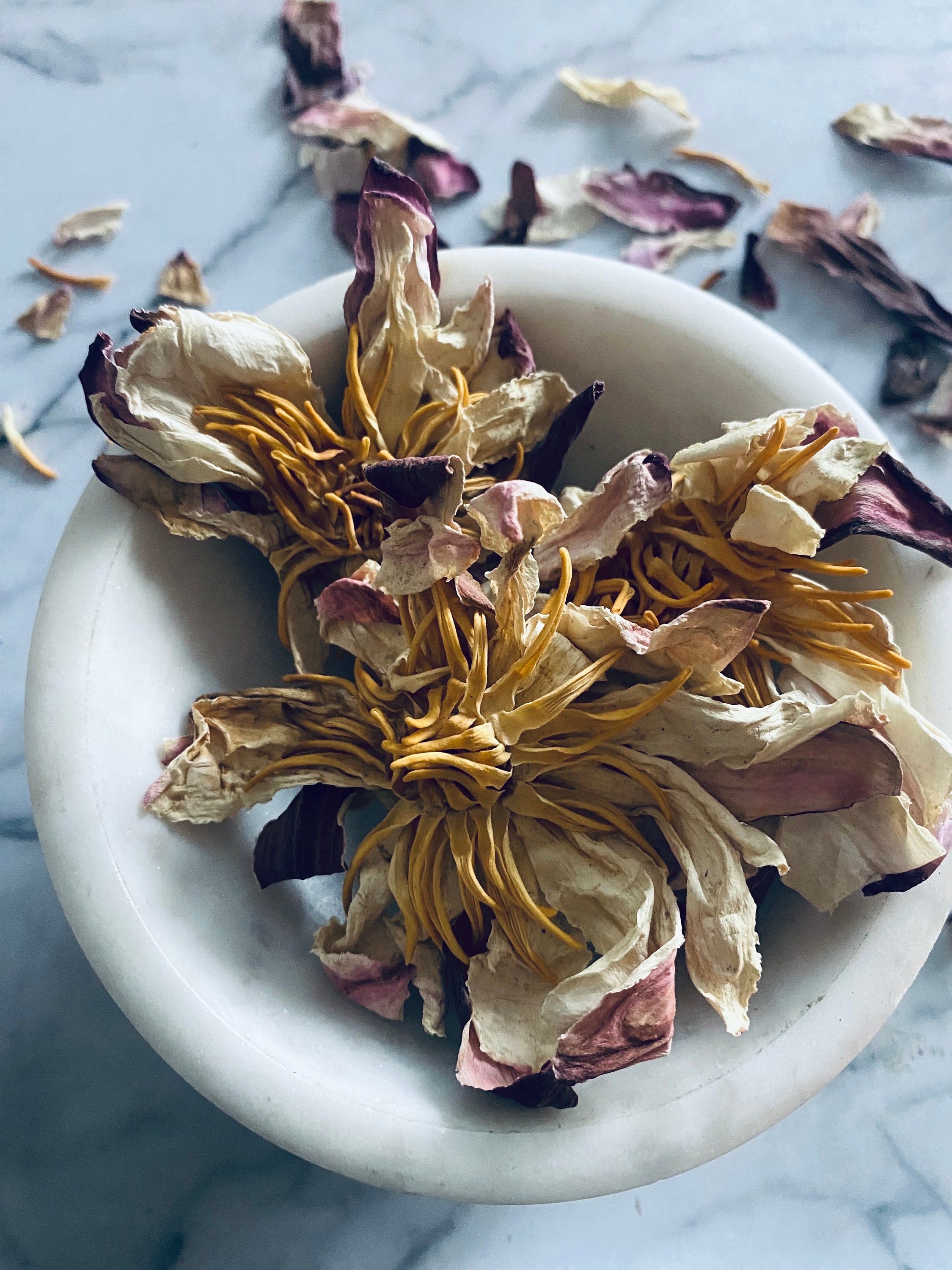 24g White Lotus Flower Organic White Lotus Tea White Lotus Flower Tea ...