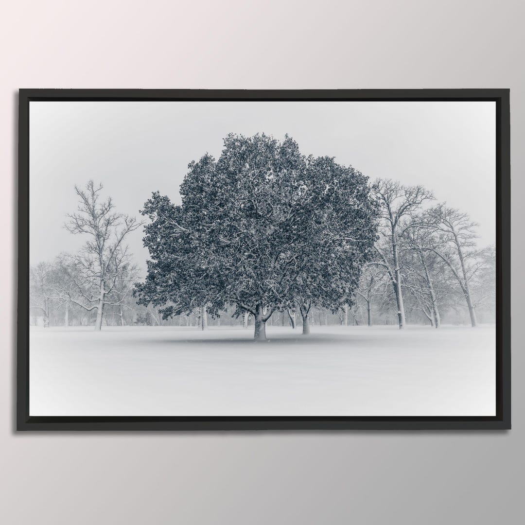 Black and White Winter Theme Home Decor | Giclee Print | Winter Tree ...
