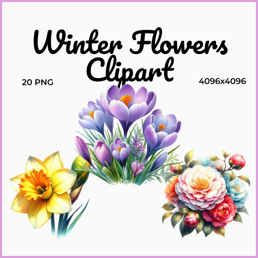 Watercolor Winter Flowers Clipart, 20 High Quality Floral PNG Stickers ...
