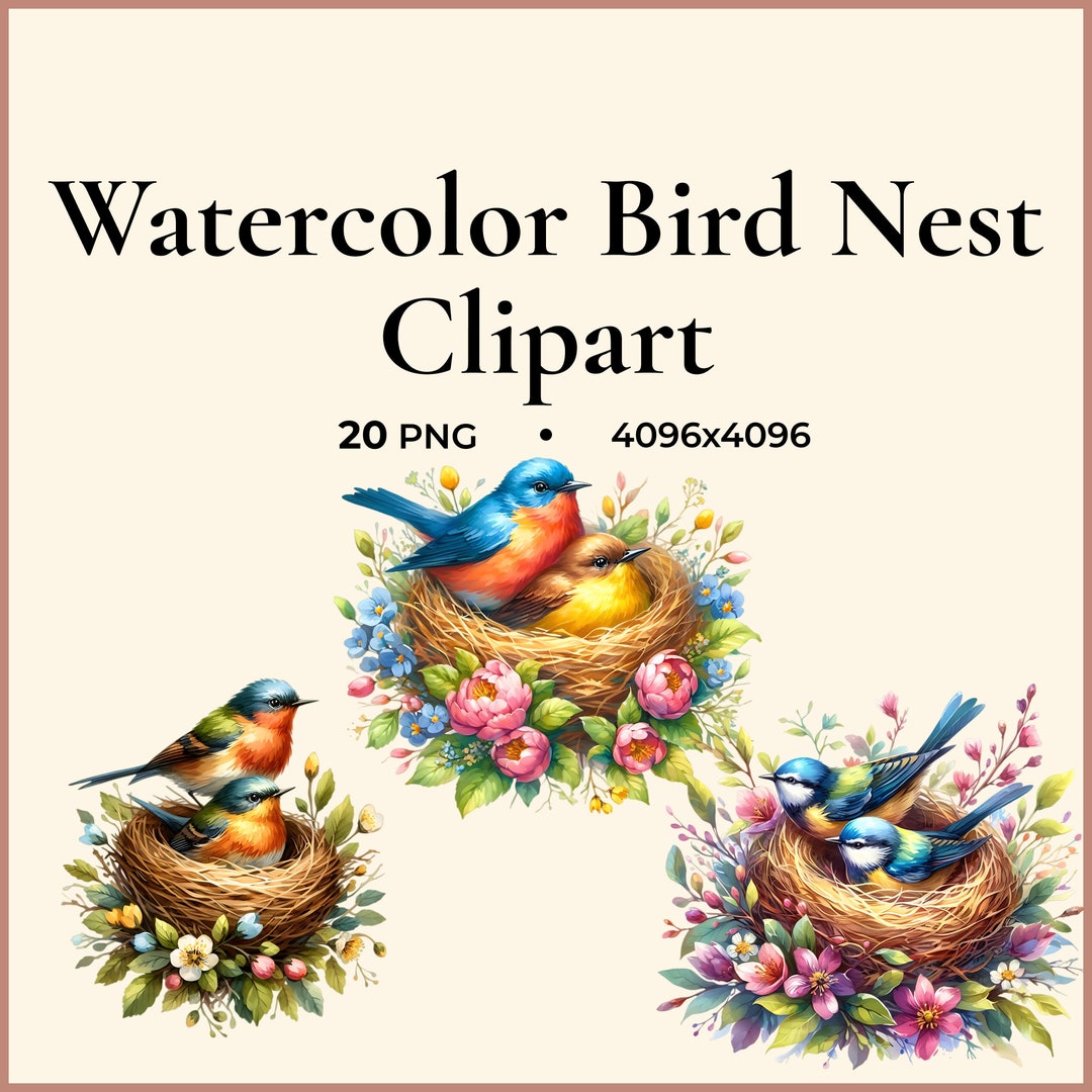 Watercolor Bird Nest Clipart Bundle, Spring Theme, 20 High Quality ...