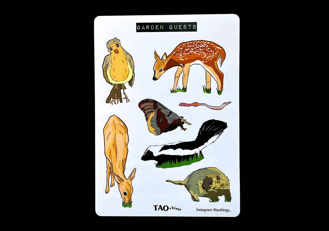 Garden Guests - Animals, Gentle Creatures, Nature Illustration ...