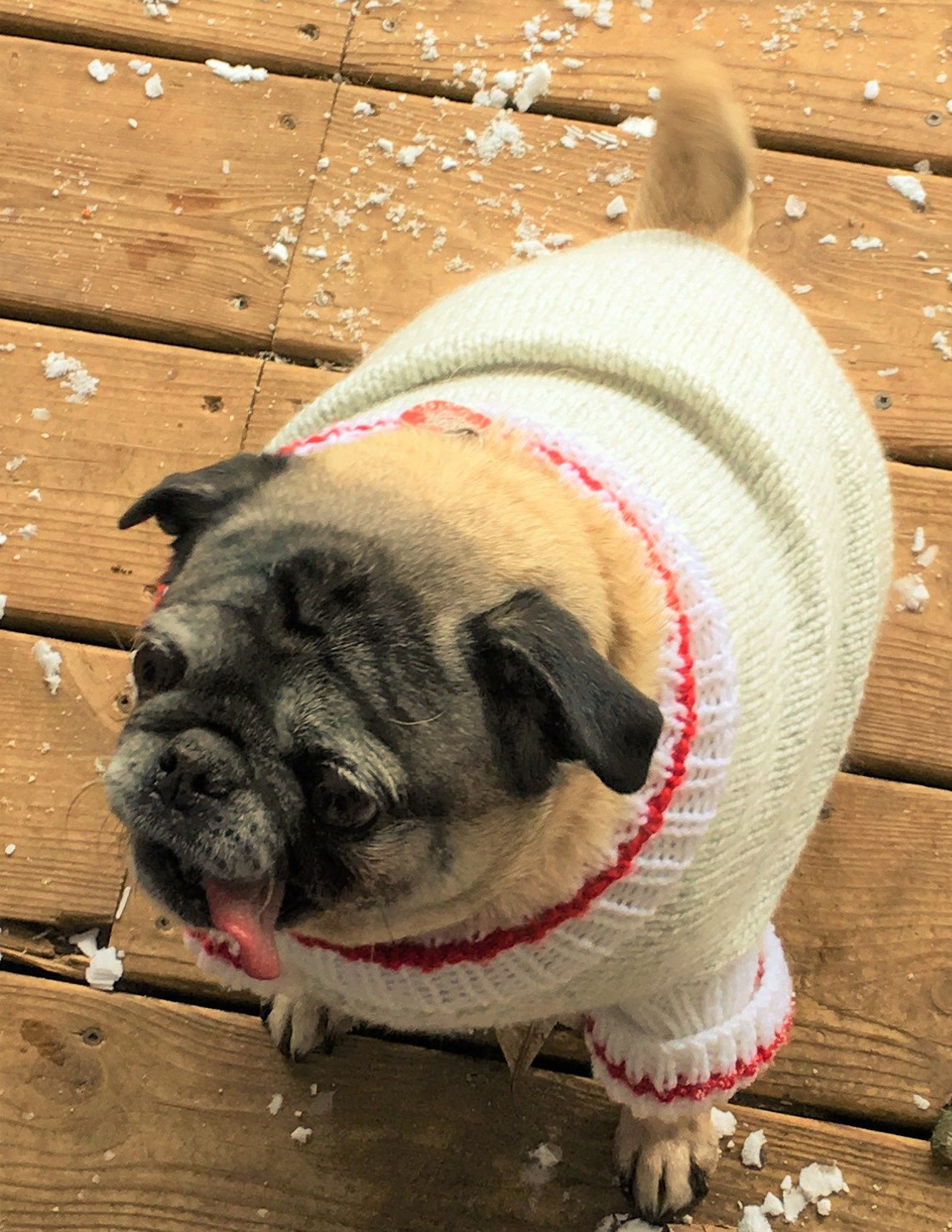 PUG MONKEY Knit Dog Sweater Pattern - Perfect for Frenchies Too! Zero ...
