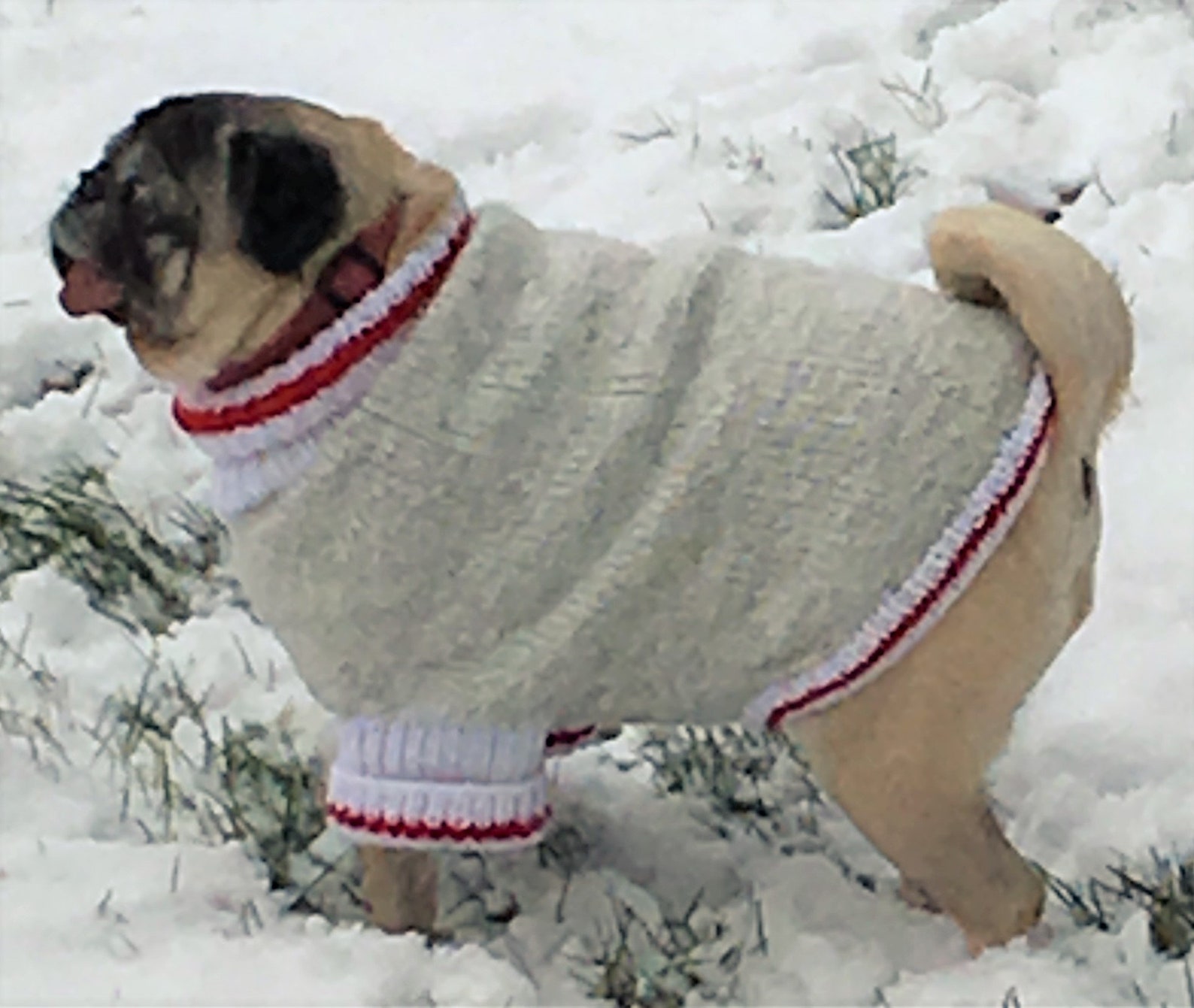 PUG MONKEY Knit Dog Sweater Pattern - Perfect for Frenchies Too! Zero ...