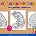 Printable * Lizards Coloring Book for Kids, Lizards – Instant Download ...